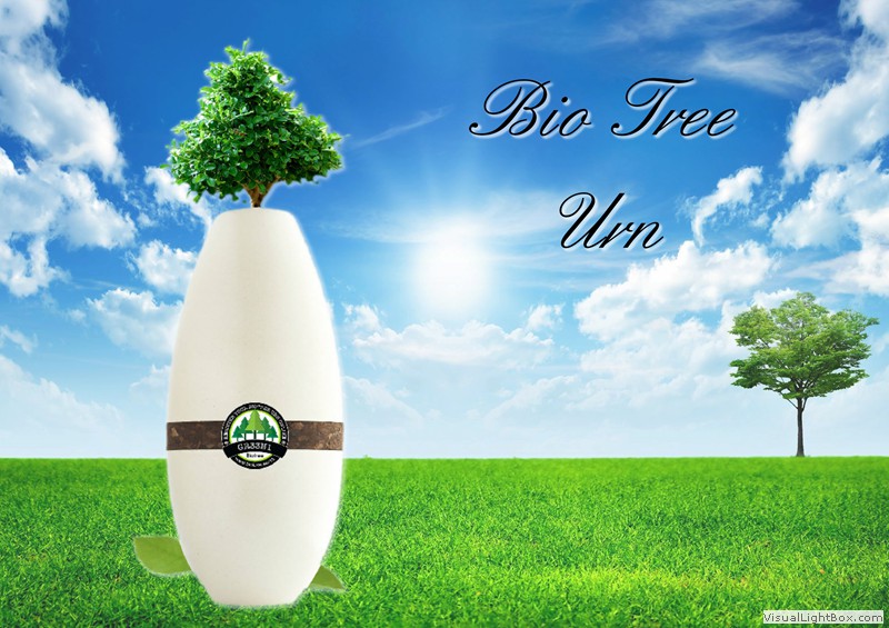 East Rand Funeral Directors - Services.